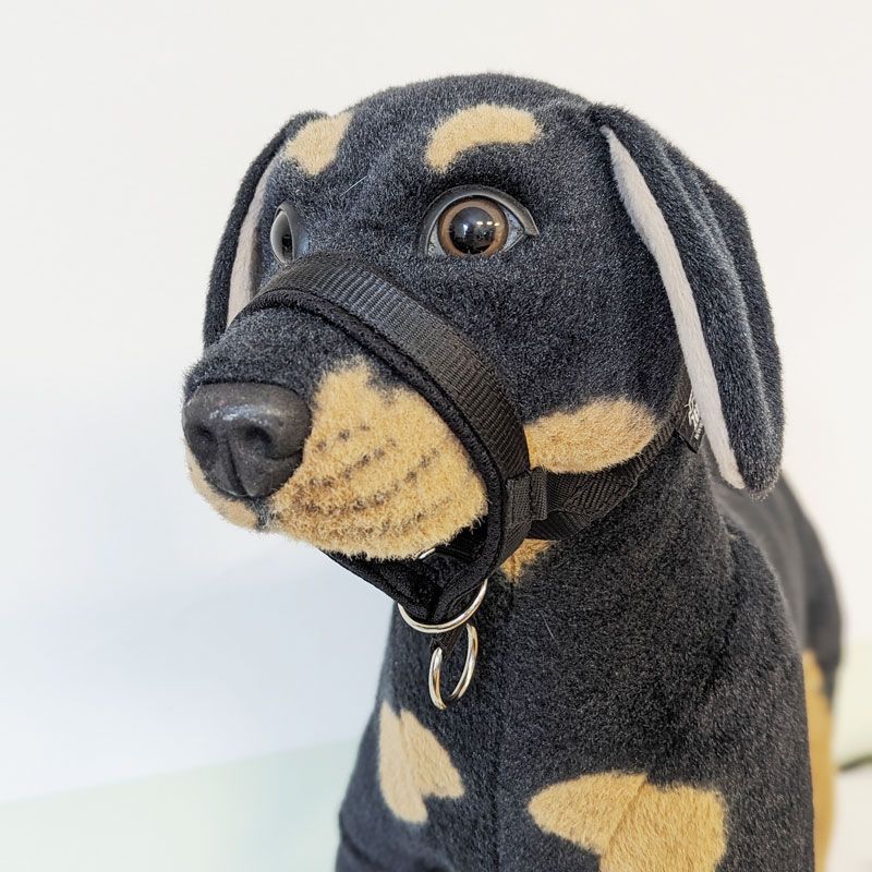 Halti-Kopfhalfter | Hundwerkszeug Onlineshop